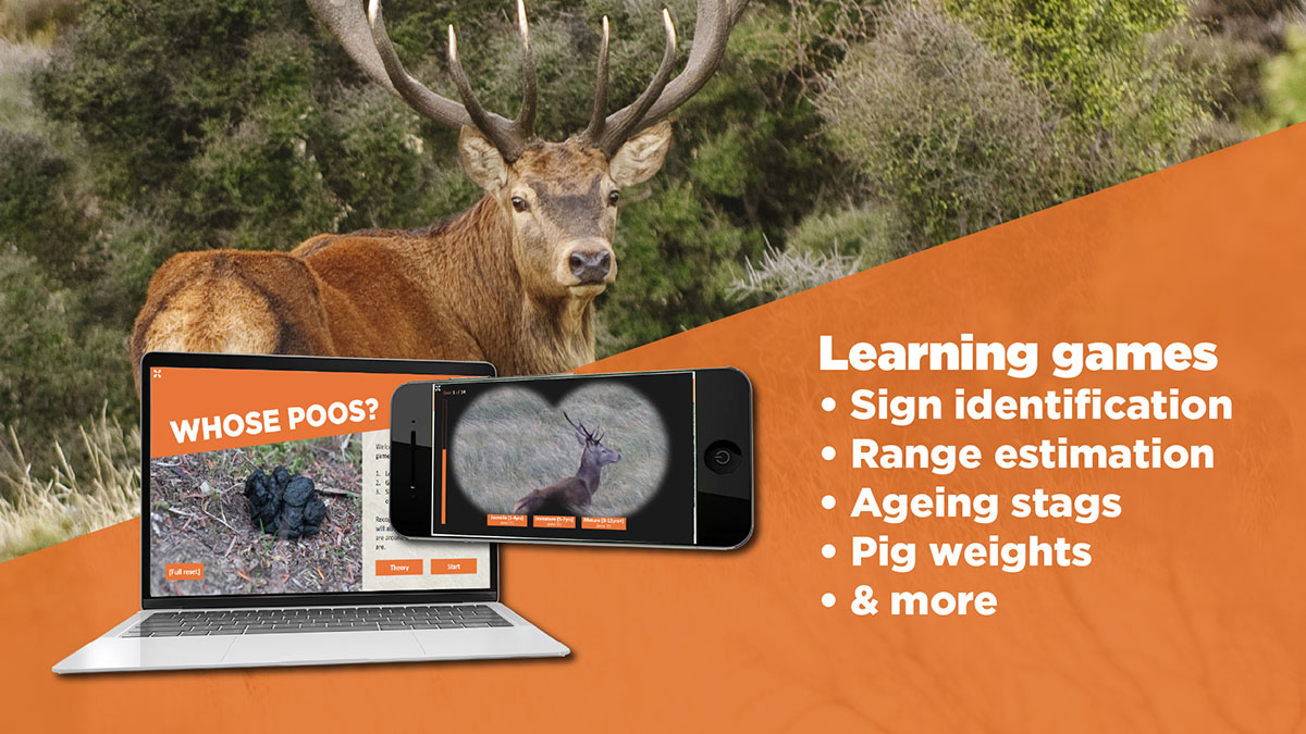 Better Hunting: Front page ad development