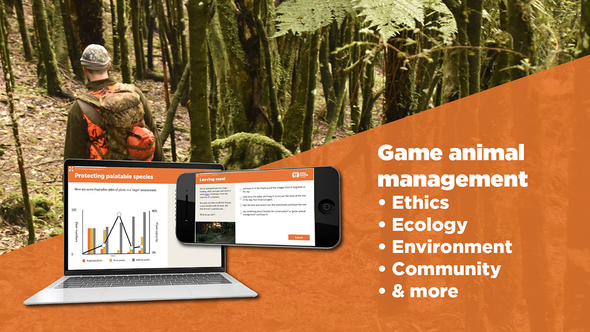 Better Hunting: Front page ad development